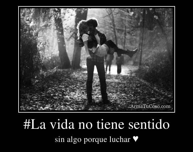 #La vida no tiene sentido