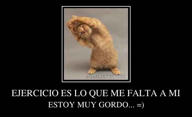 EJERCICIO ES LO QUE ME FALTA A MI