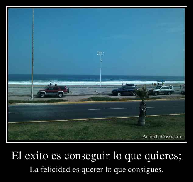 El exito es conseguir lo que quieres;