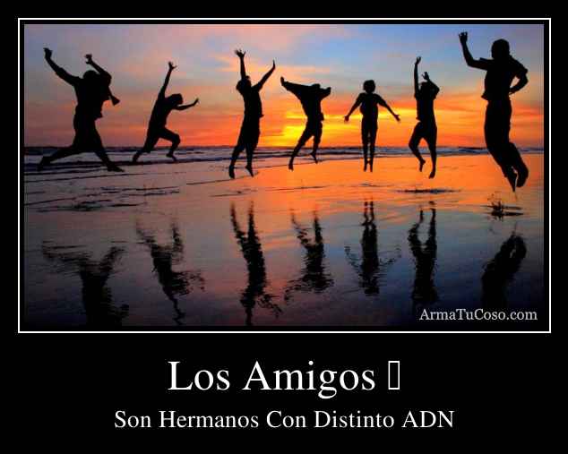 Los Amigos ㋡