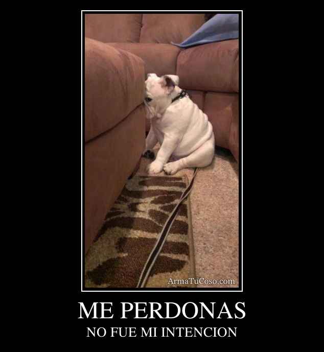 ME PERDONAS