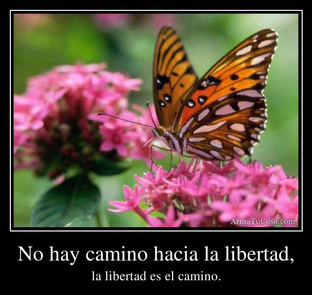 No hay camino hacia la libertad,