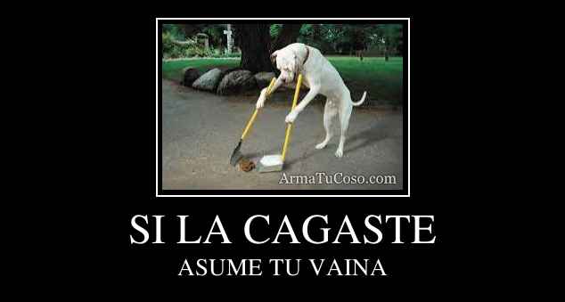 SI LA CAGASTE