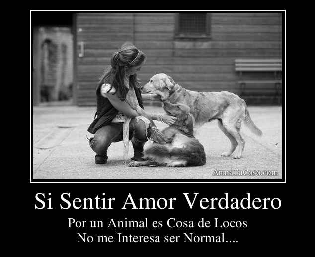 Si Sentir Amor Verdadero