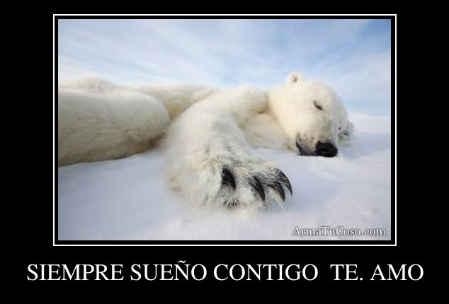SIEMPRE SUEÑO CONTIGO TE. AMO