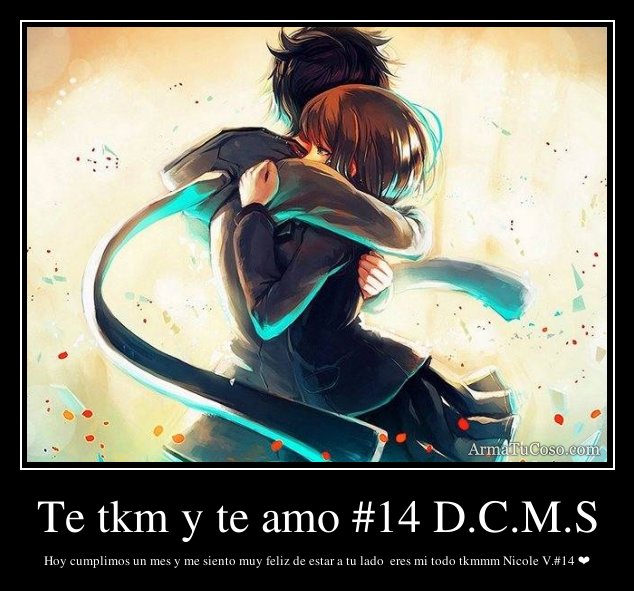 Te tkm y te amo #14 D.C.M.S
