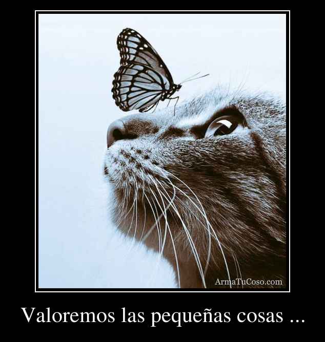 Valoremos las pequeñas cosas ...