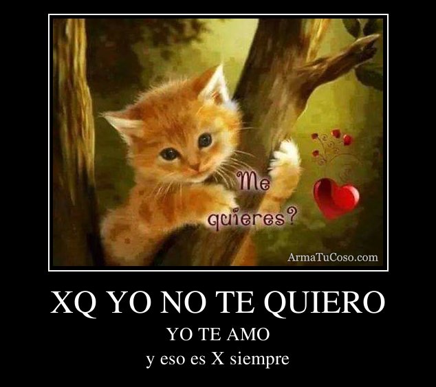 XQ YO NO TE QUIERO
